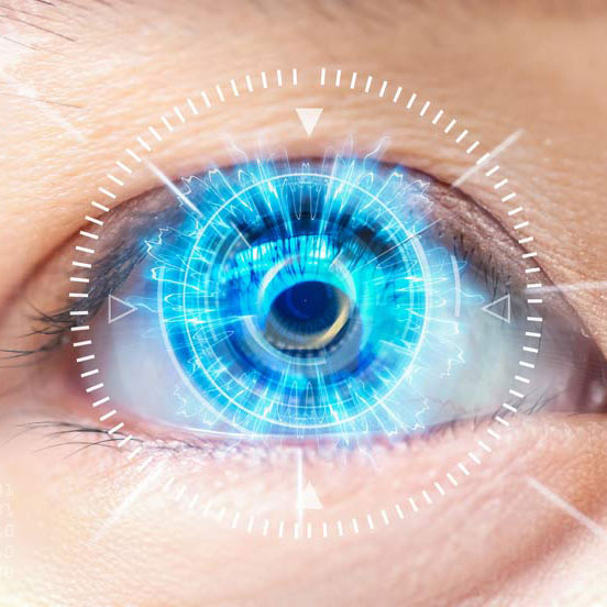 Web Accessibility Statement